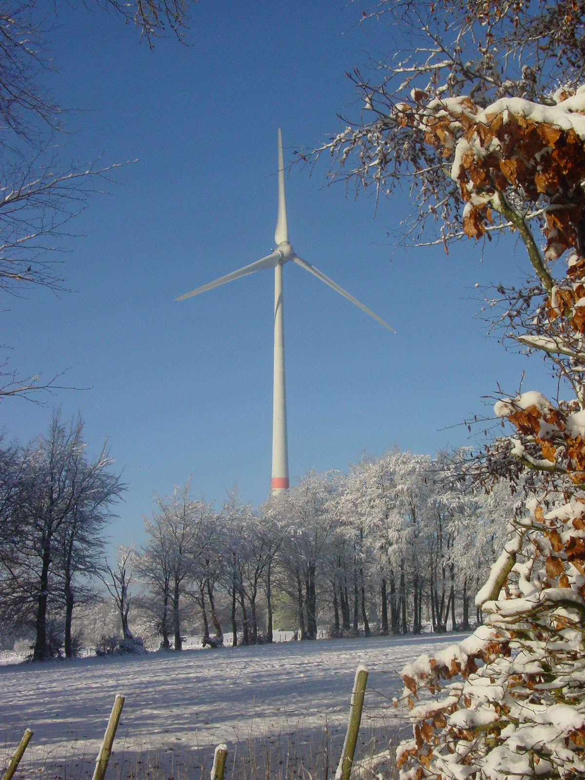 winterwind – COCITER sc | Fournisseur d'Energie